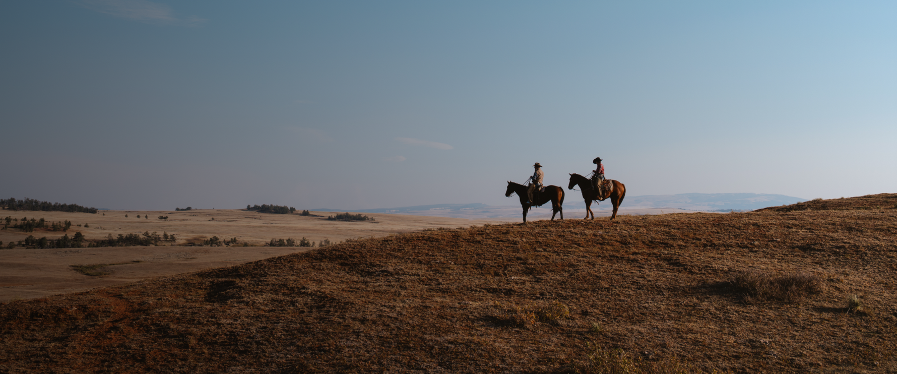 YETI Premium Cool Boxes, Drinkware, And More – YETI EUROPE